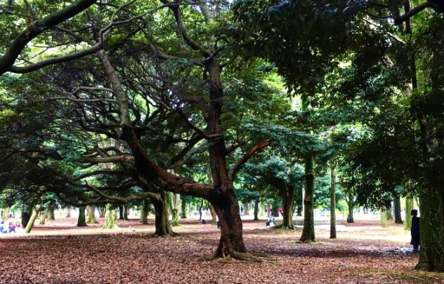 10 Best Things To Do in Shibuya – Fun and Adventure Await!｜Gyl Magazine