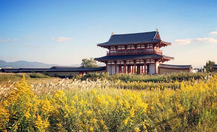 10 Best Things To Do in Nara – Visit The Famous World Heritage!｜Gyl ...