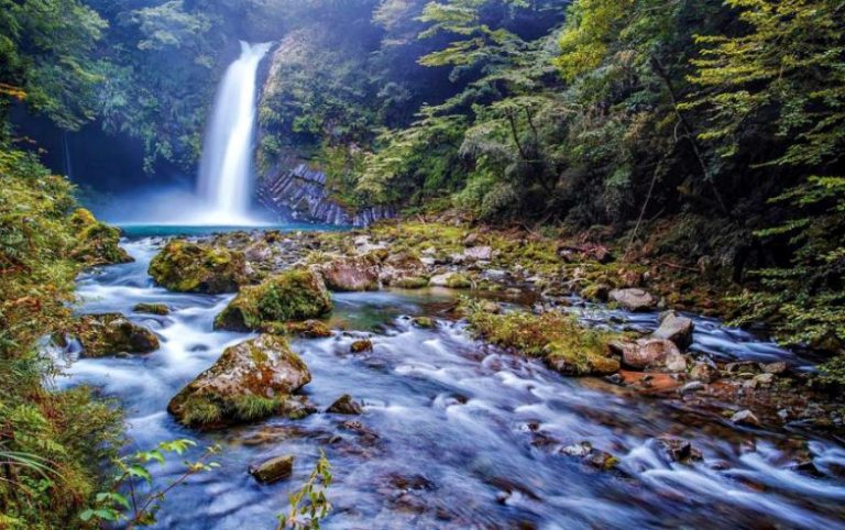 Best Things To Do in Izu – TheHilly Place in Japan!｜Gyl Magazine