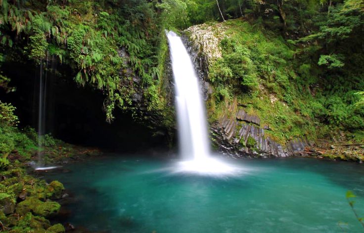 Best Things To Do in Izu – TheHilly Place in Japan!｜Gyl Magazine