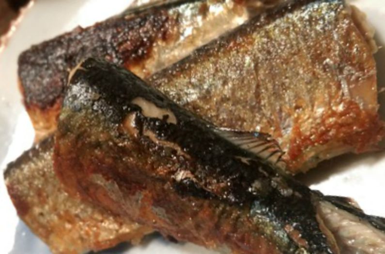 Best Japanese Fish That You Must Know!｜Gyl Magazine