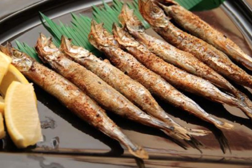 Best Japanese Fish That You Must Know!｜Gyl Magazine