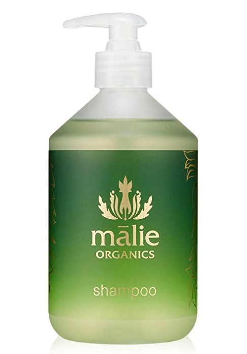 15 Best Japanese Shampoo Brands | Find The Perfect Hair Care!｜Gyl Magazine