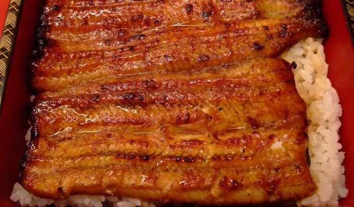 Best Japanese Fish That You Must Know!｜Gyl Magazine